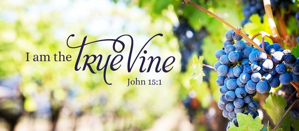 St. Senan's Parish | Shannon Parish | Co. Clare | Killaloe Diocese