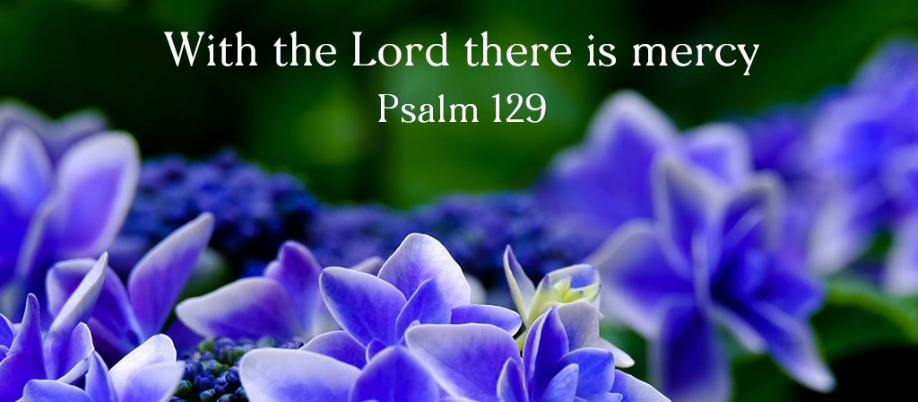 St. Senan's Parish | Shannon Parish | Co. Clare | Killaloe Diocese